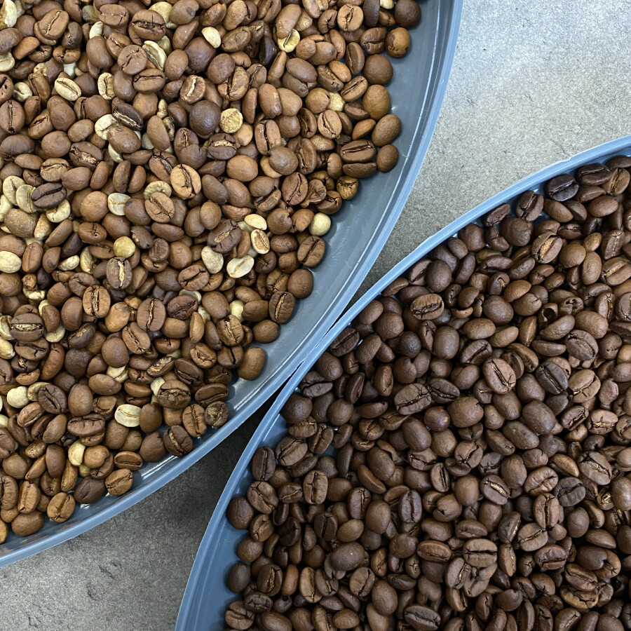 Coffee Color Sorter MINI-125 | Coffee Machines Sale